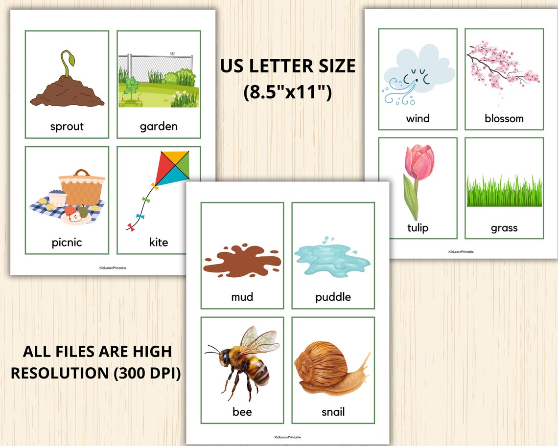 Spring Flashcards, Spring Vocabulary Cards,nature Cards,sensory Bins ...