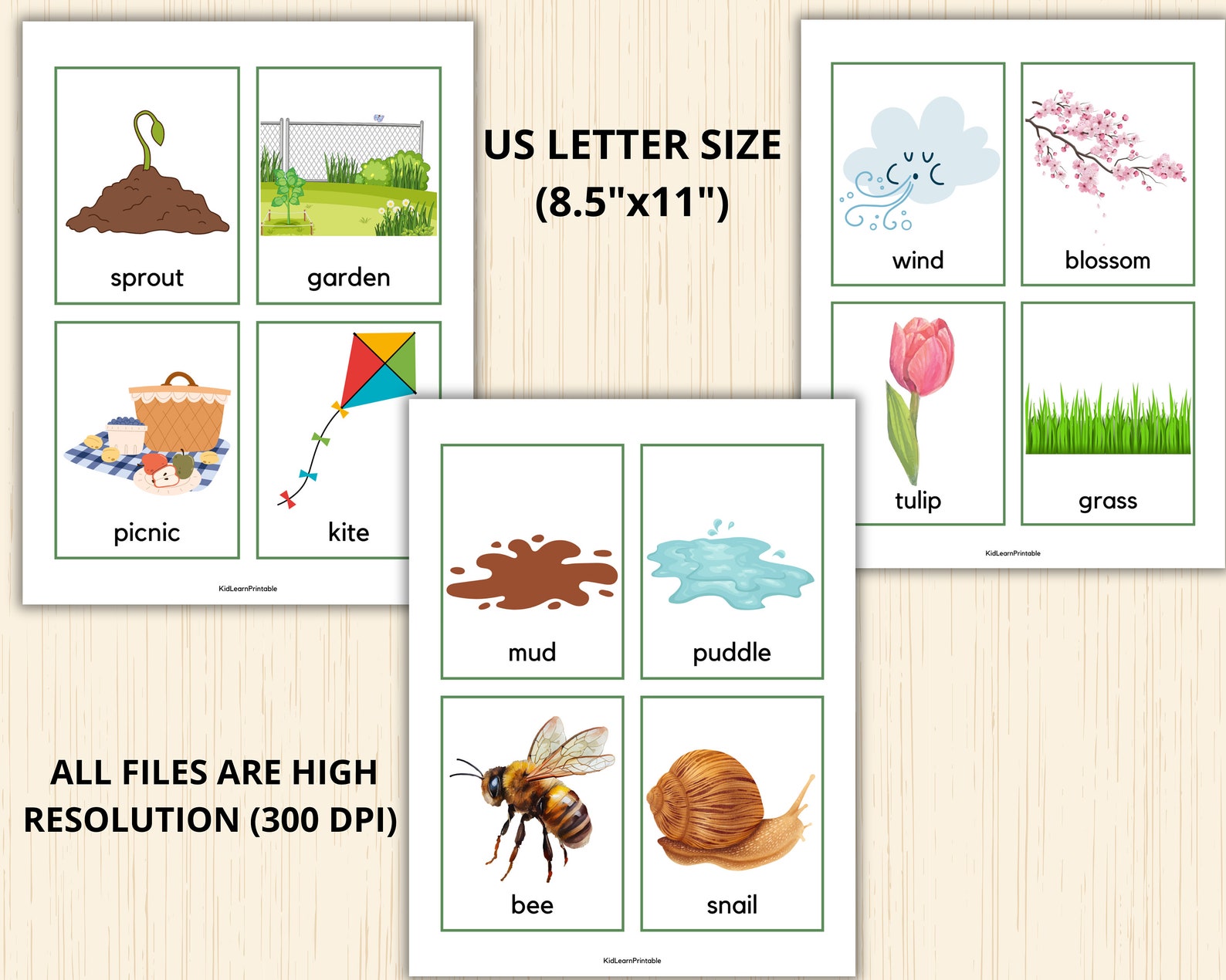 Spring Flashcards, Spring Vocabulary Cards,nature Cards,sensory Bins ...
