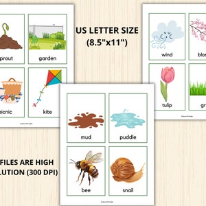 Spring Vocabulary Flashcards, Spring Word Cards,nature Cards,sensory ...