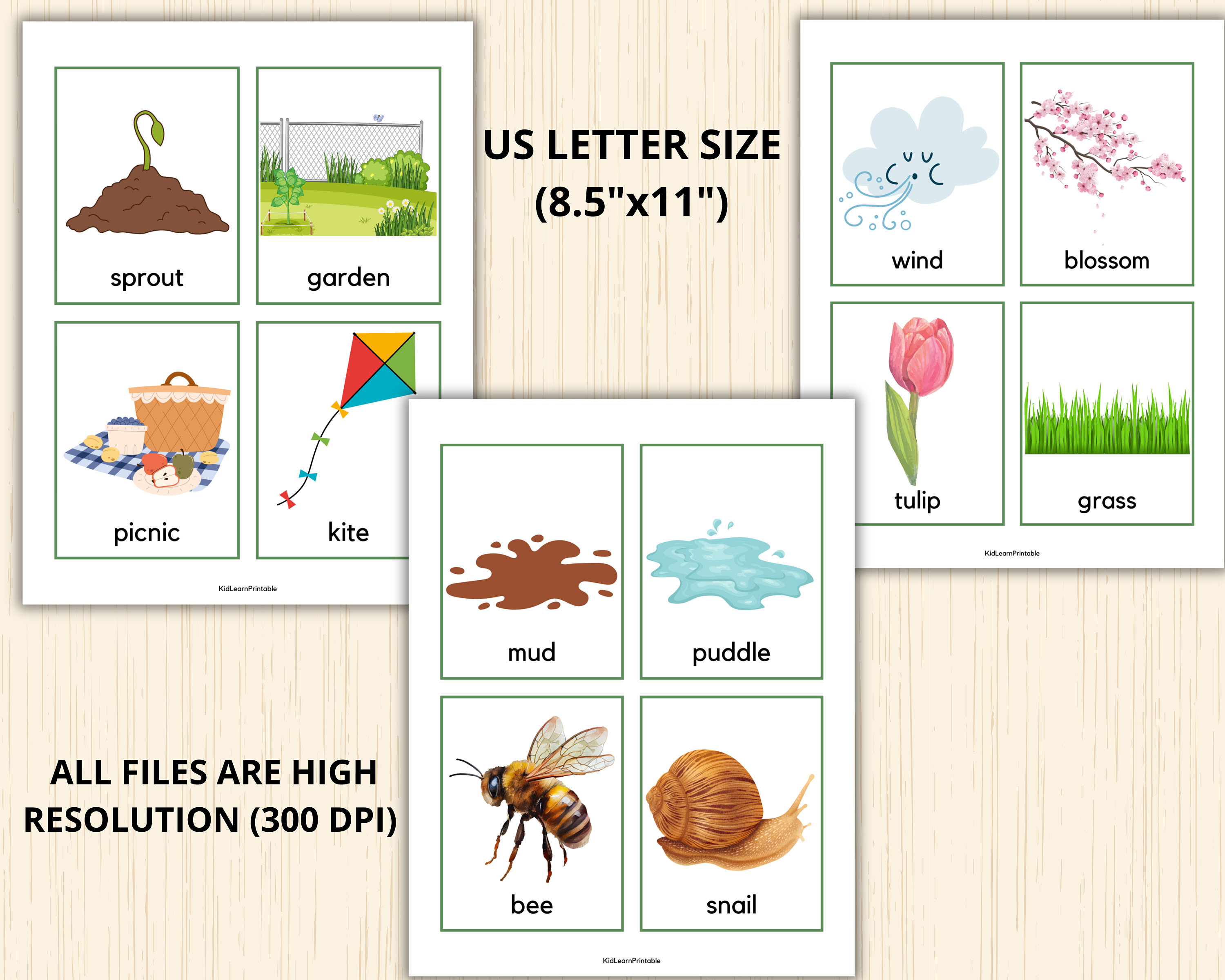Spring Flashcards, Spring Vocabulary Cards,nature Cards,sensory Bins ...