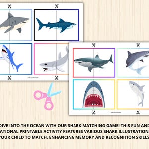 Shark Symmetry Puzzles,summer Matching Activity,visual Skills,animal ...