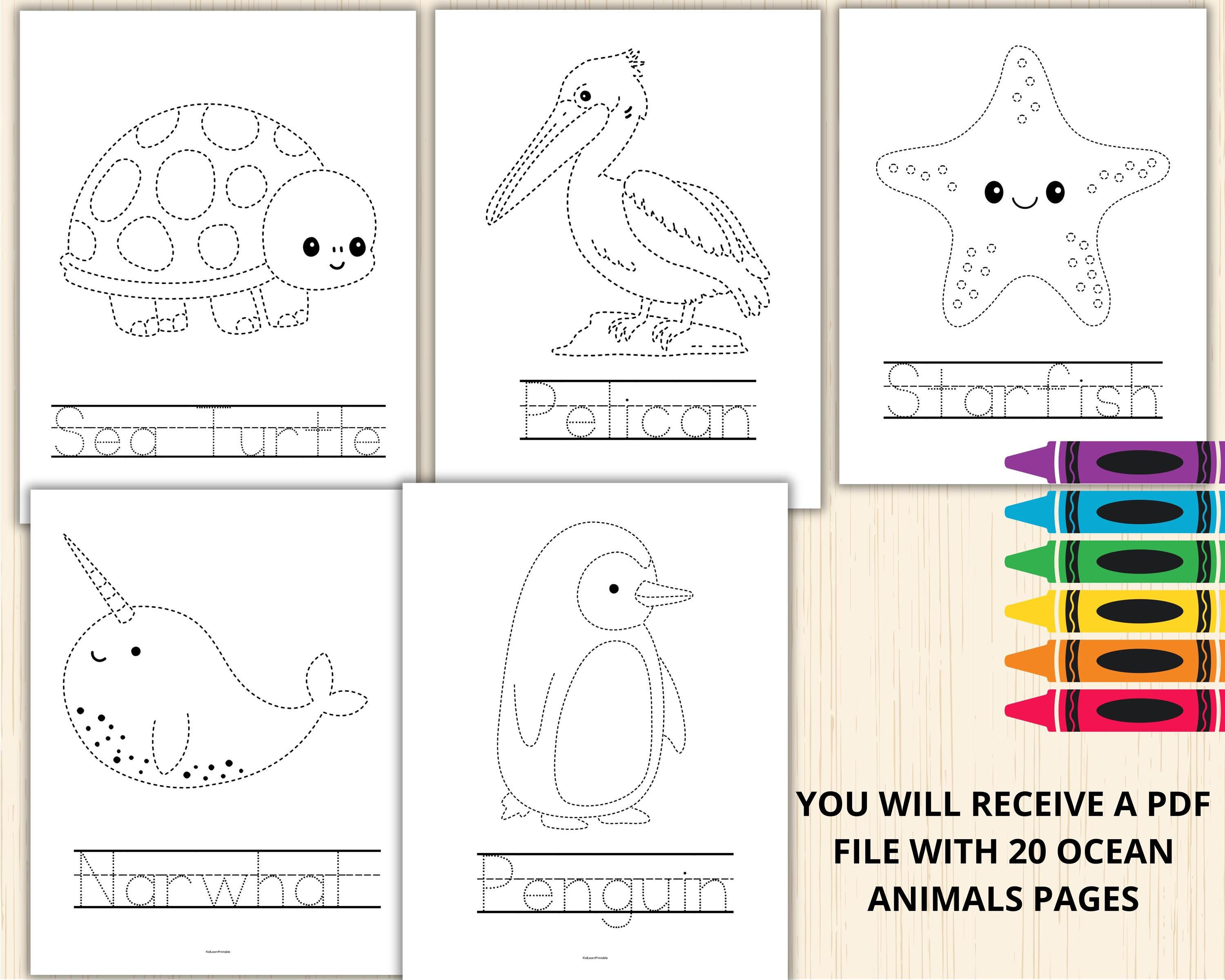 Ocean Animals Tracing,ocean Animal Coloring Pages,tracing Sea Animals ...