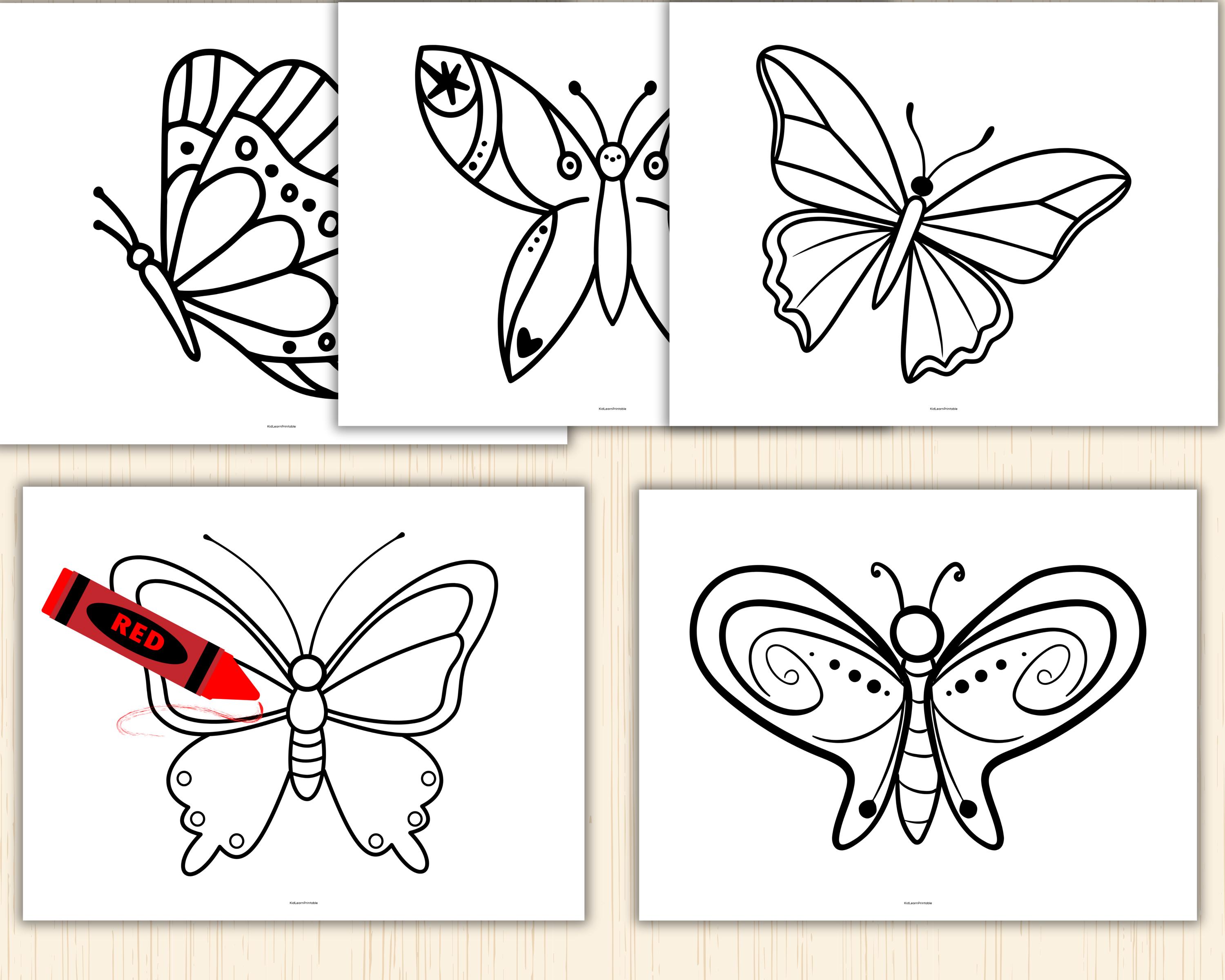 Butterfly Coloring Pages,butterfly Colouring Sheets,bugs Simple ...