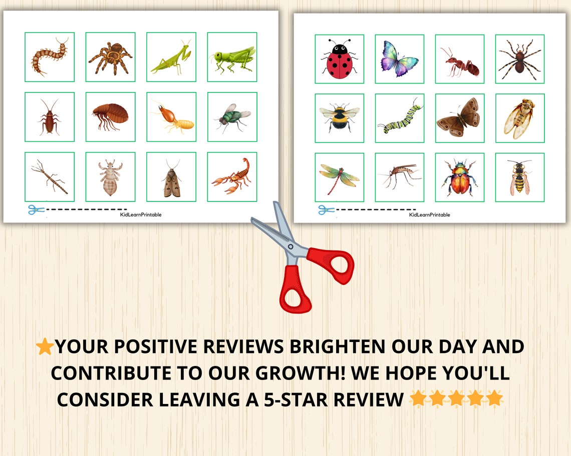 Insect Patterns,insect Activity,cut and Paste Patterns,preschool ...