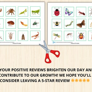Insect Patterns,insect Activity,cut and Paste Patterns,preschool ...