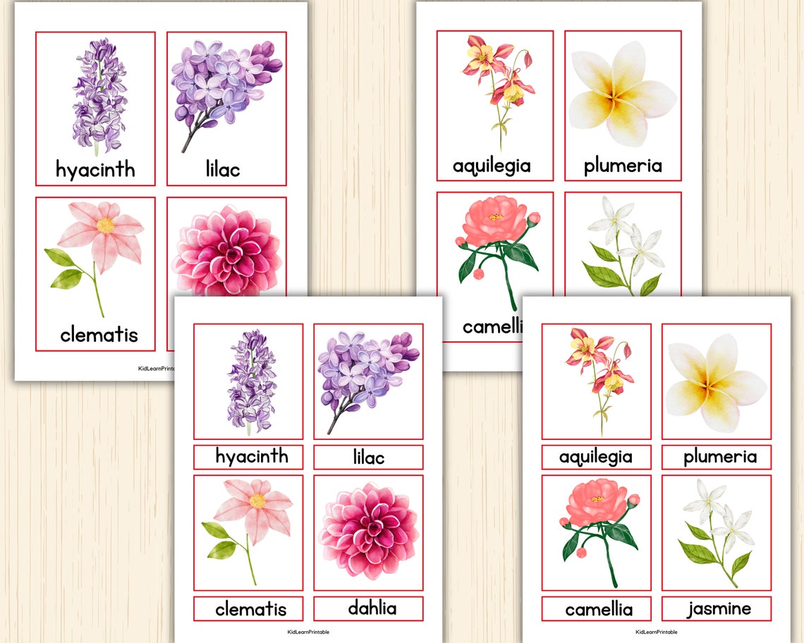 Flower 3-part Cards, Spring Montessori Activity,flowers Flashcards ...