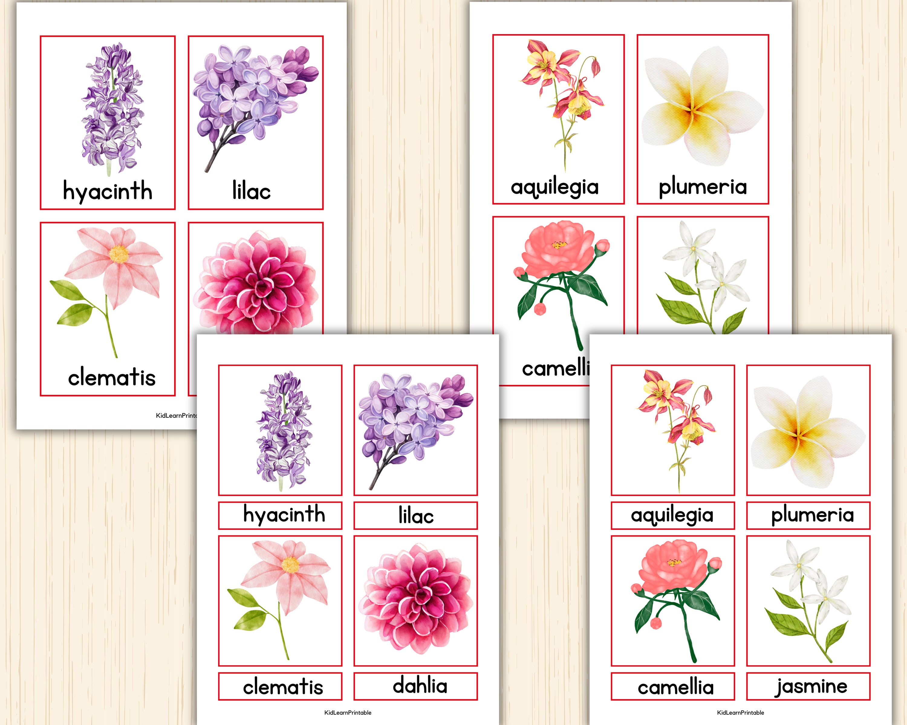 Flower 3-part Cards, Spring Montessori Activity,flowers Flashcards ...