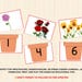 Flower Number Matching,spring Counting Number,spring Preschool Activity ...