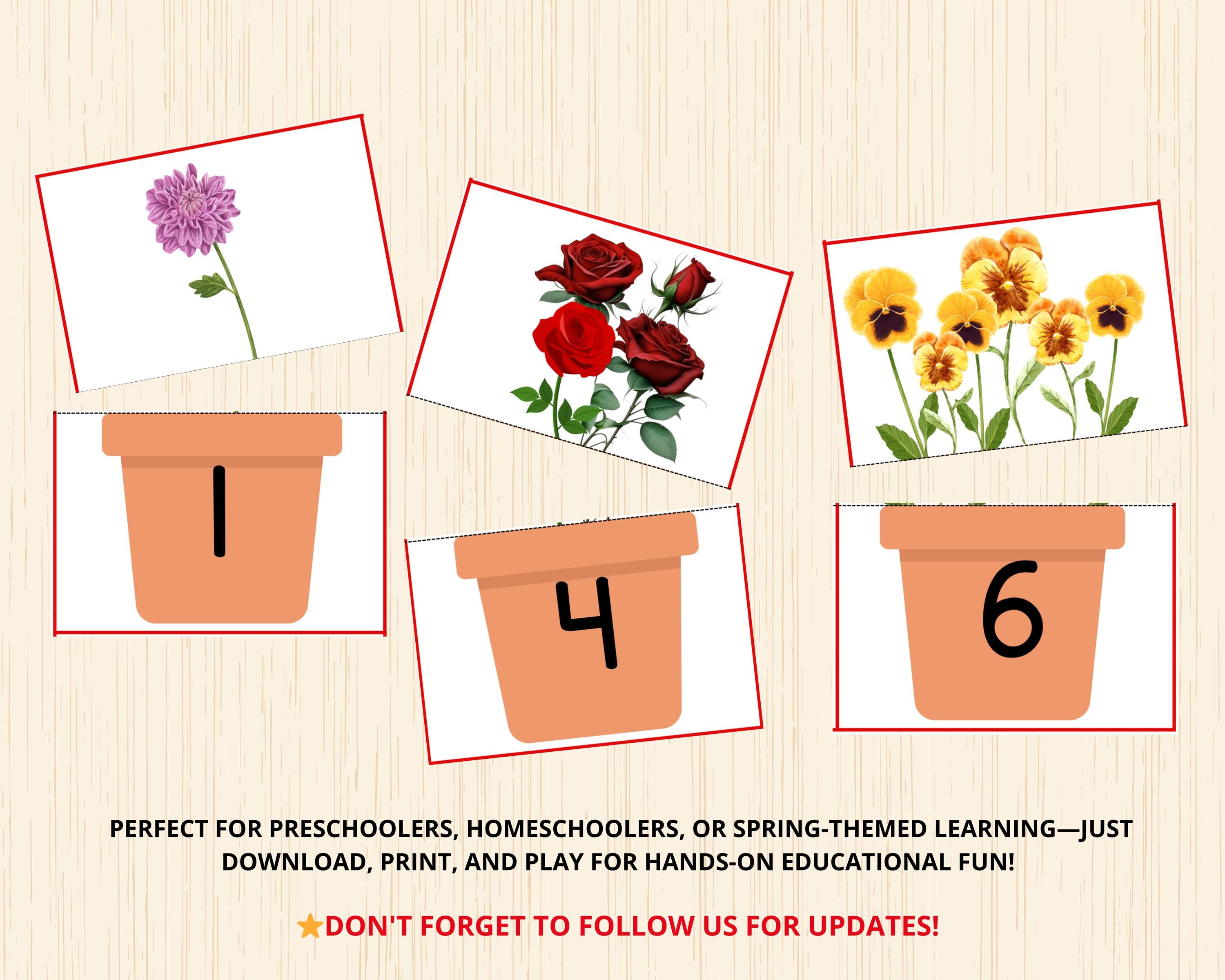 Flower Number Matching,spring Counting Number,spring Preschool Activity ...