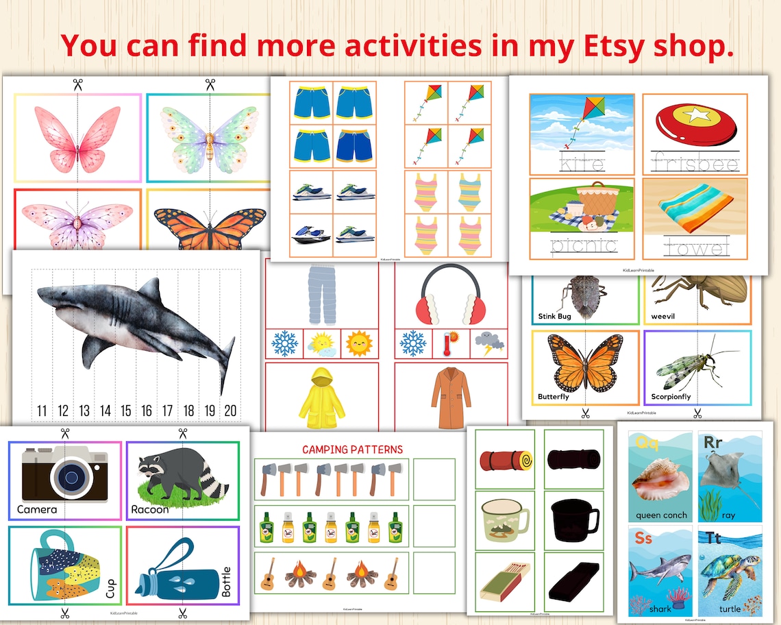 Camping Flash Cards,alphabet Flashcards,kindergarten Prek,seasonal ...