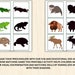 Zoo Animals Shadow Matching Game,wild Animals Matching,animal Matching ...