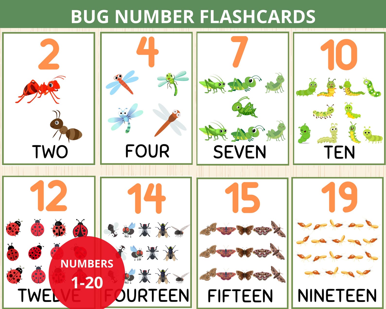 Bugs Number Flashcard,minibeast Number Cards,insect Preschool,nature ...