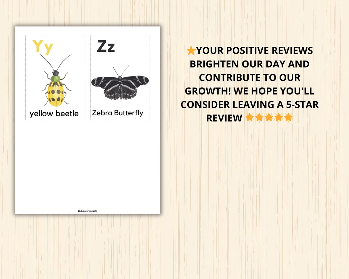 Insect Flashcards, Bug Alphabet,insect Alphabet Cards, Alphabet Flash ...