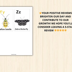 Insect Flashcards, Bug Alphabet,insect Alphabet Cards, Alphabet Flash ...