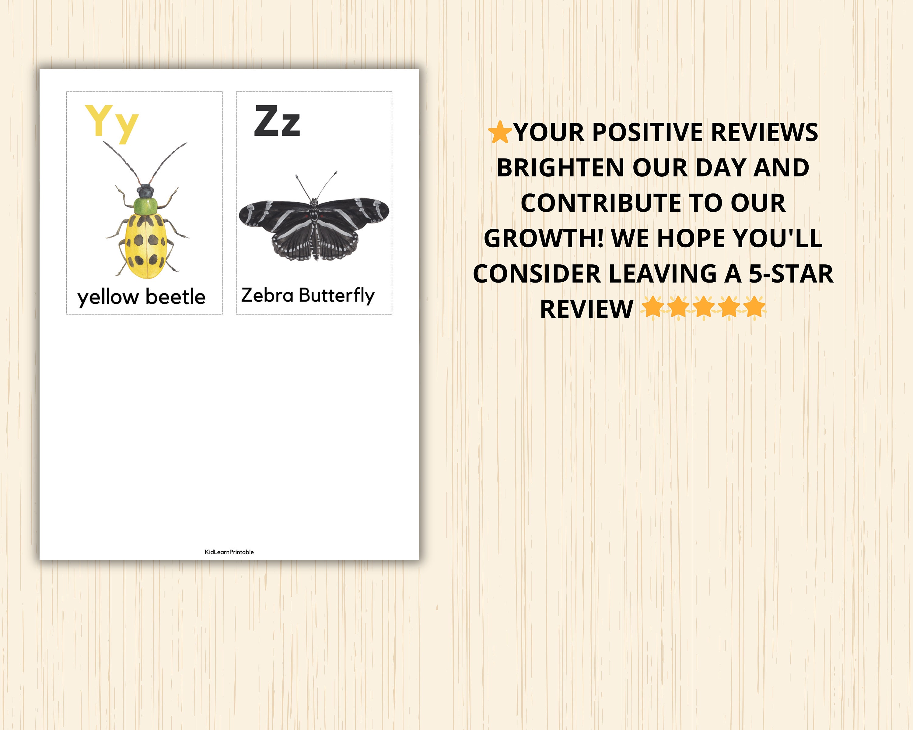 Insect Flashcards, Bug Alphabet,insect Alphabet Cards, Alphabet Flash ...