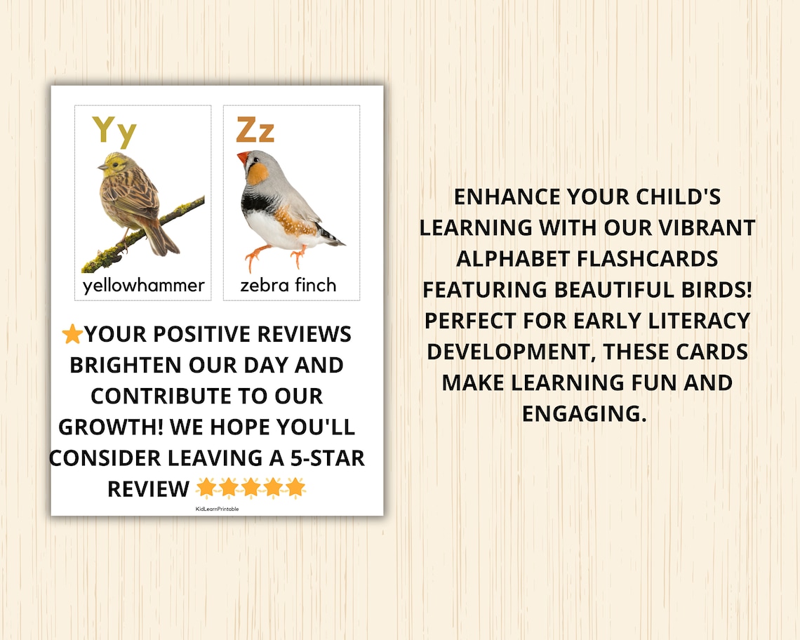 Birds Flashcards, Birds Alphabet Cards, Alphabet Flash Cards, Birds ...