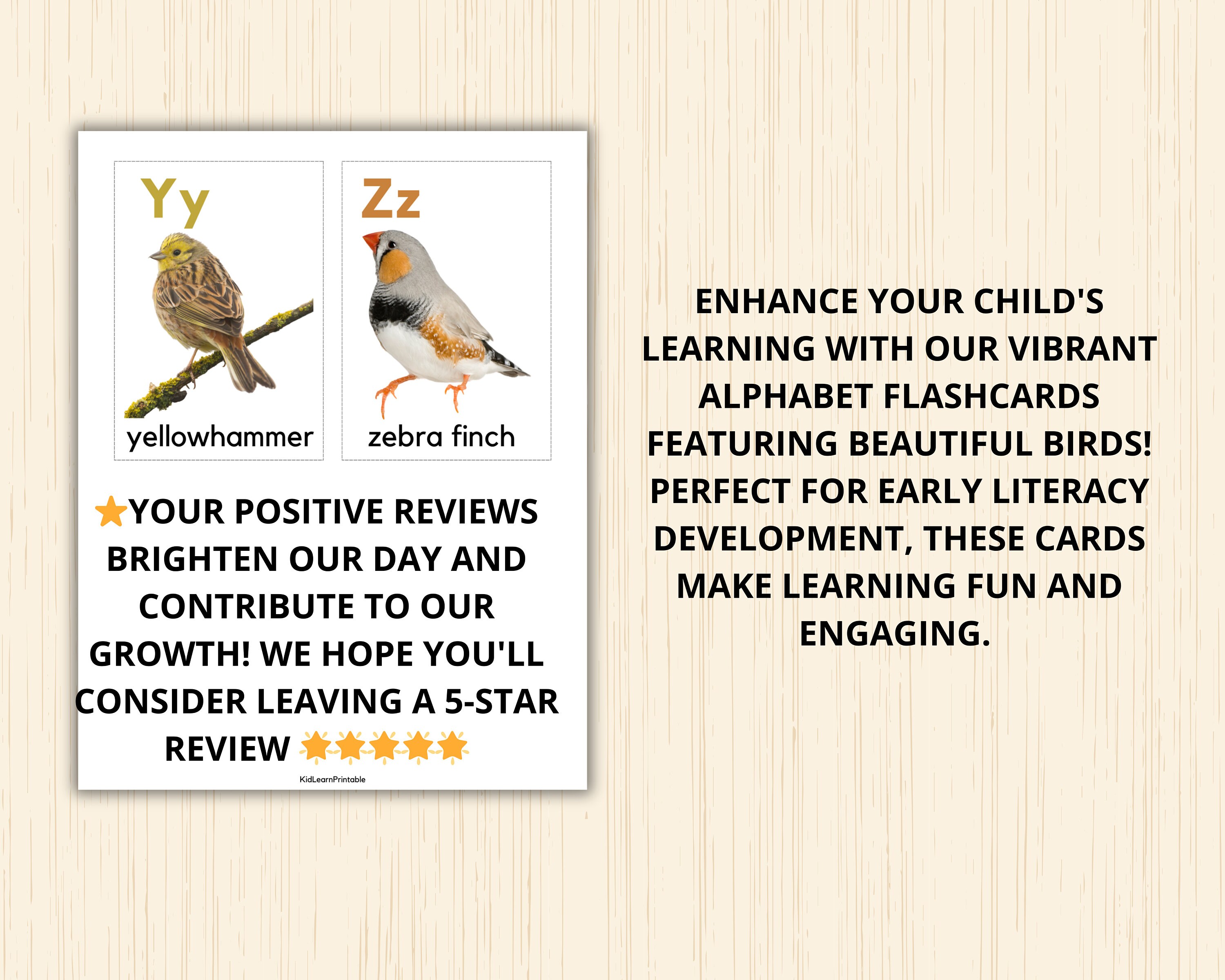 Birds Flashcards, Birds Alphabet Cards, Alphabet Flash Cards, Birds ...