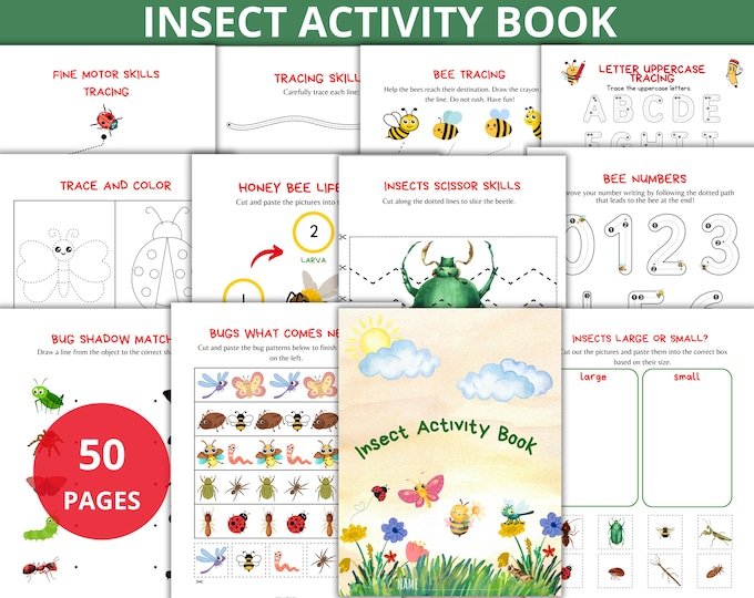 Insects Morning Basket Activity, Homeschool Unit, Bug Flashcards ...