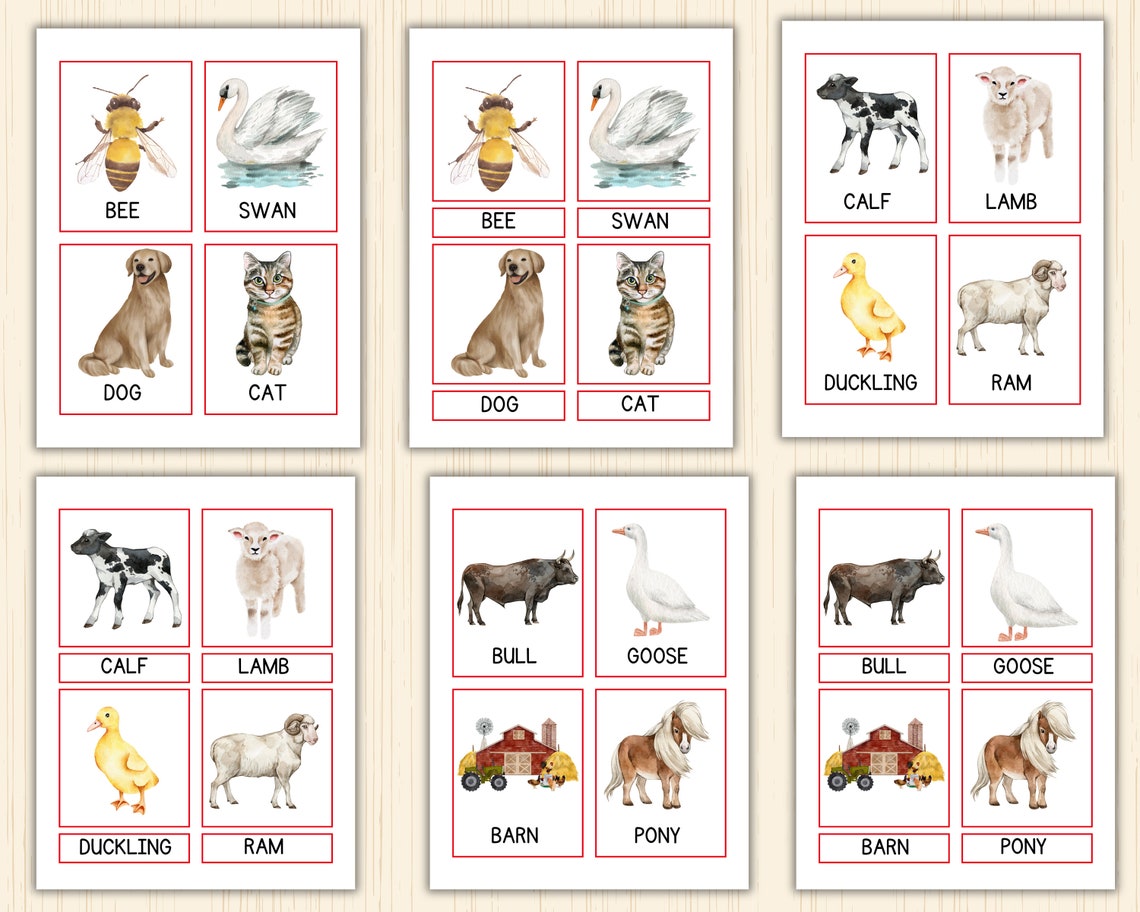 Farm Animals Montessori 3 Part Cards, Montessori Flash Cards, Farm ...