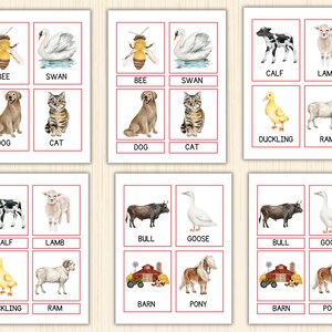 Farm Animals Montessori 3 Part Cards, Montessori Flash Cards, Farm ...