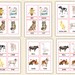 Farm Animals Montessori 3 Part Cards, Montessori Flash Cards, Farm ...
