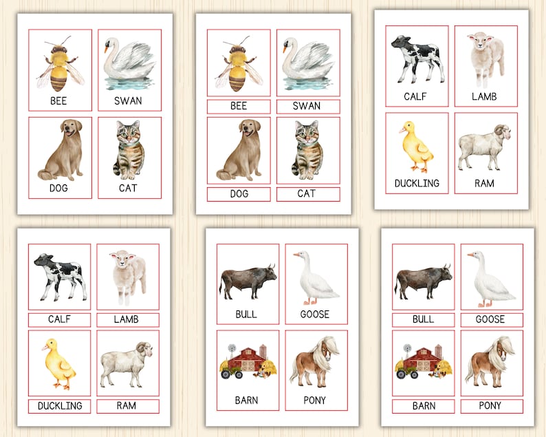 Farm Animals Montessori 3 Part Cards, Montessori Flash Cards, Farm ...
