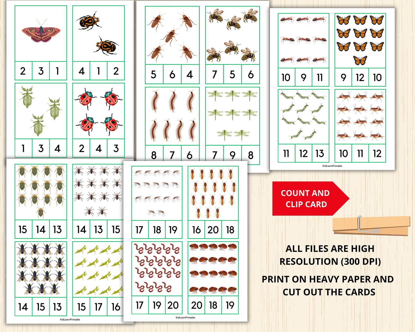 Insect Unit Study,preschool Curriculum,insect Bundle,insect Montessori ...