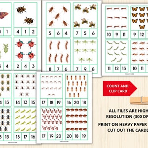 Insect Unit Study,preschool Curriculum,insect Bundle,insect Montessori ...