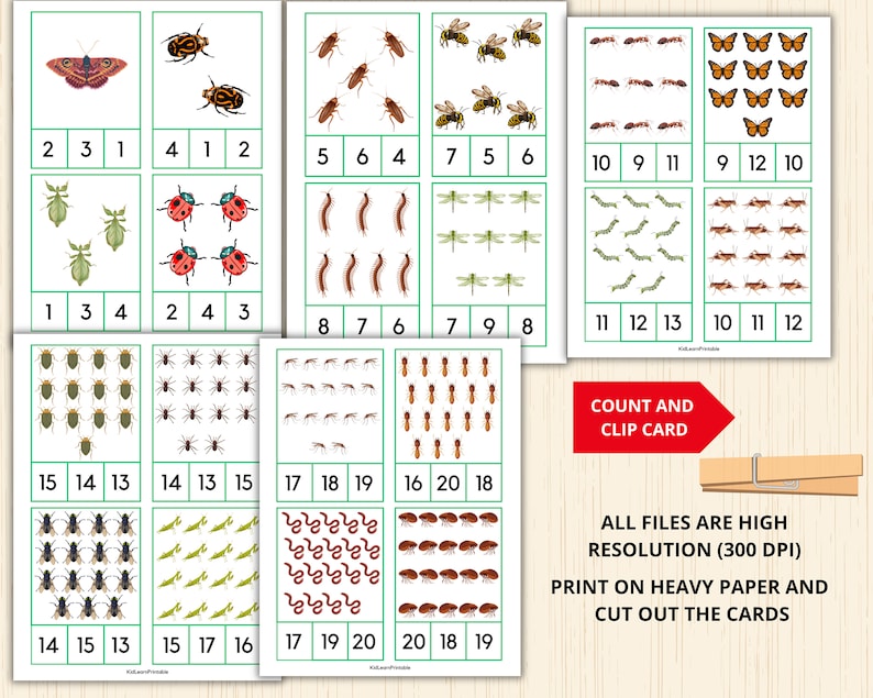 Insect Unit Study,preschool Curriculum,insect Bundle,insect Montessori ...