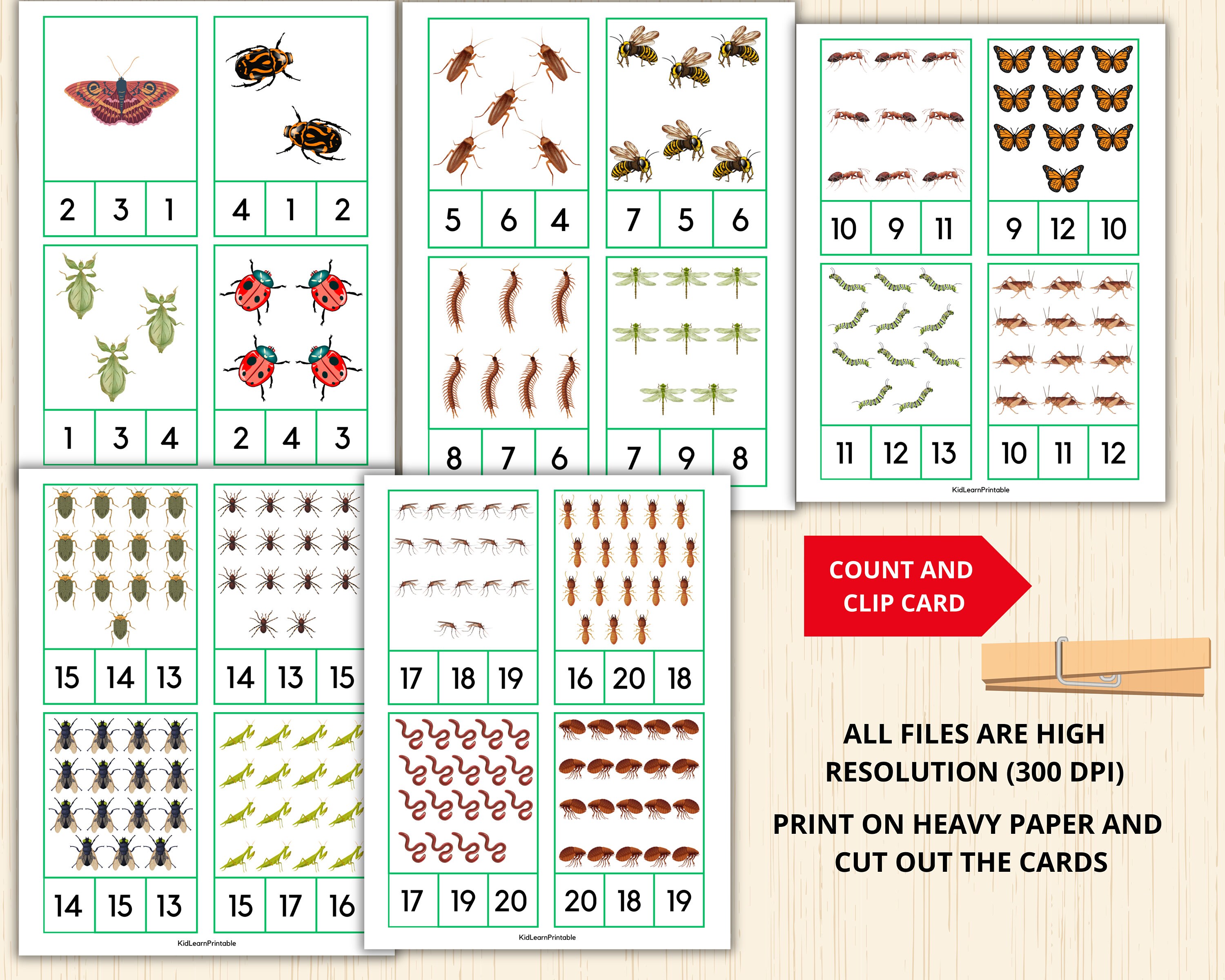 Insect Unit Study,preschool Curriculum,insect Bundle,insect Montessori ...