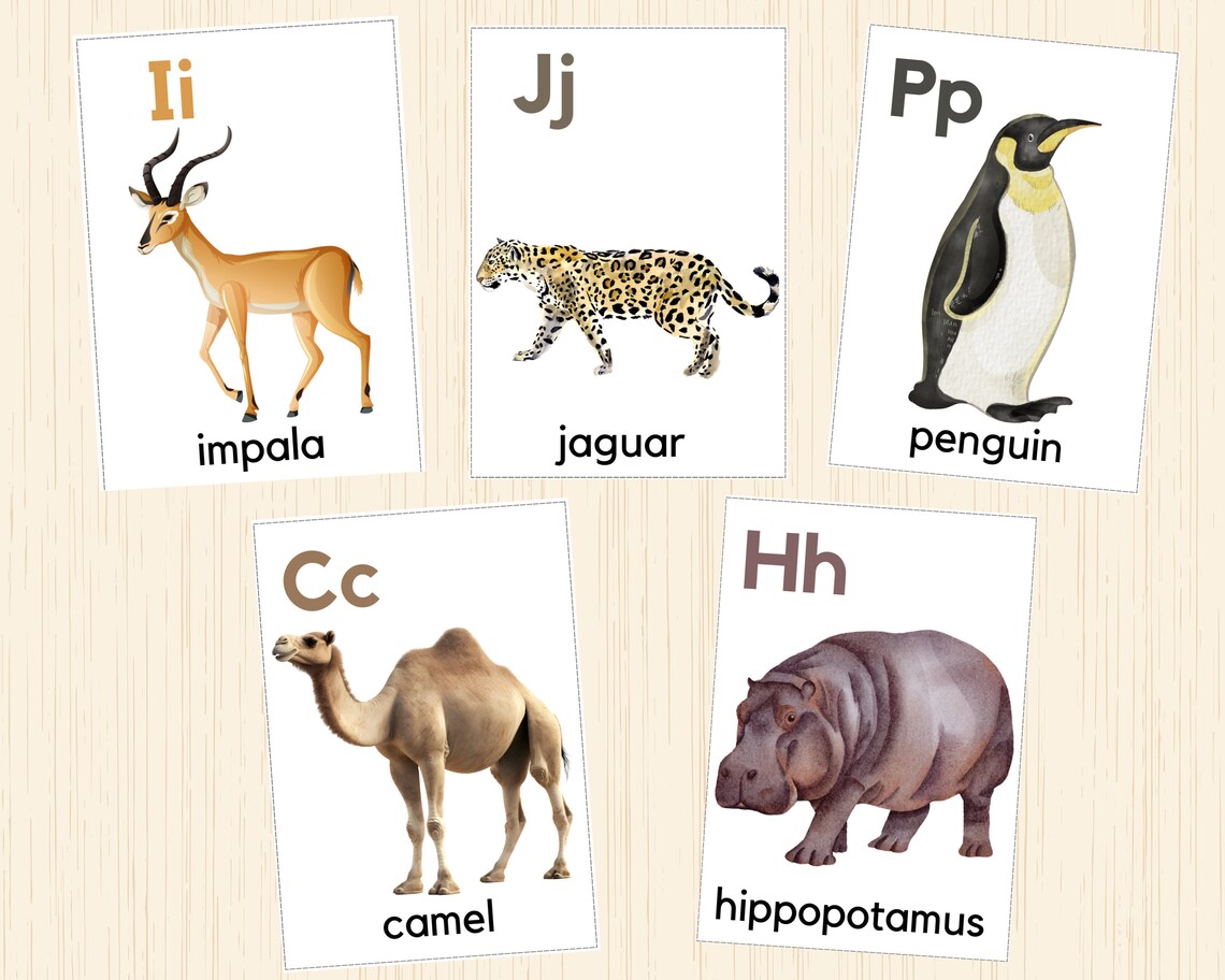 Wild Animals, Jungle Alphabet, Wild Animals Vocabulary,zoo Animals ...