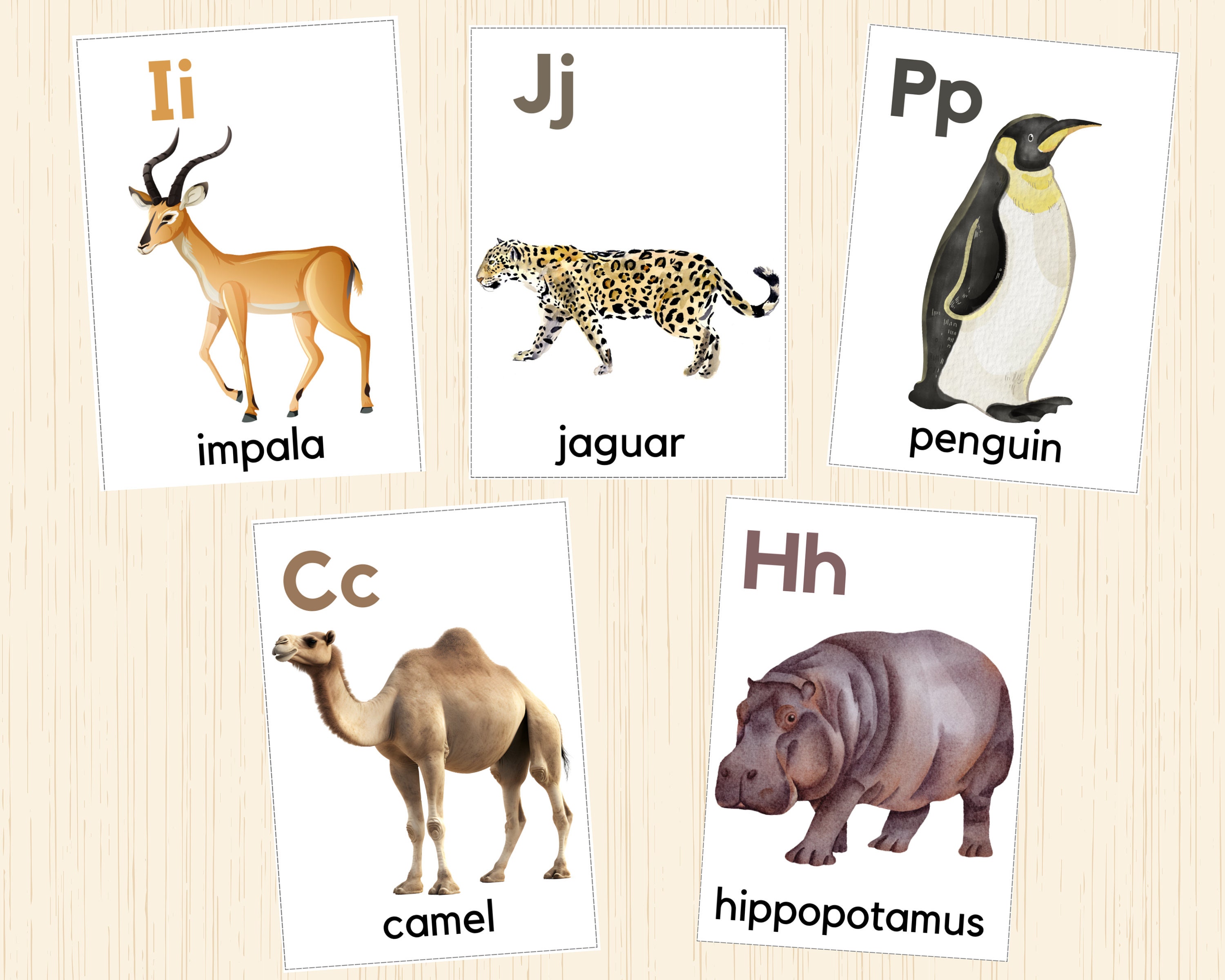 Wild Animals, Jungle Alphabet, Wild Animals Vocabulary,zoo Animals ...