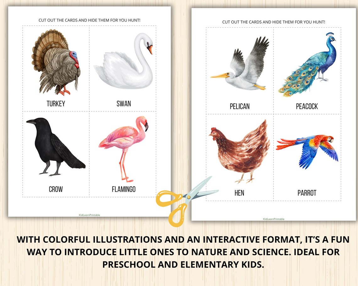 Birds Scavenger Hunt,nature Scavenger Hunt,nature Activity,bird ...