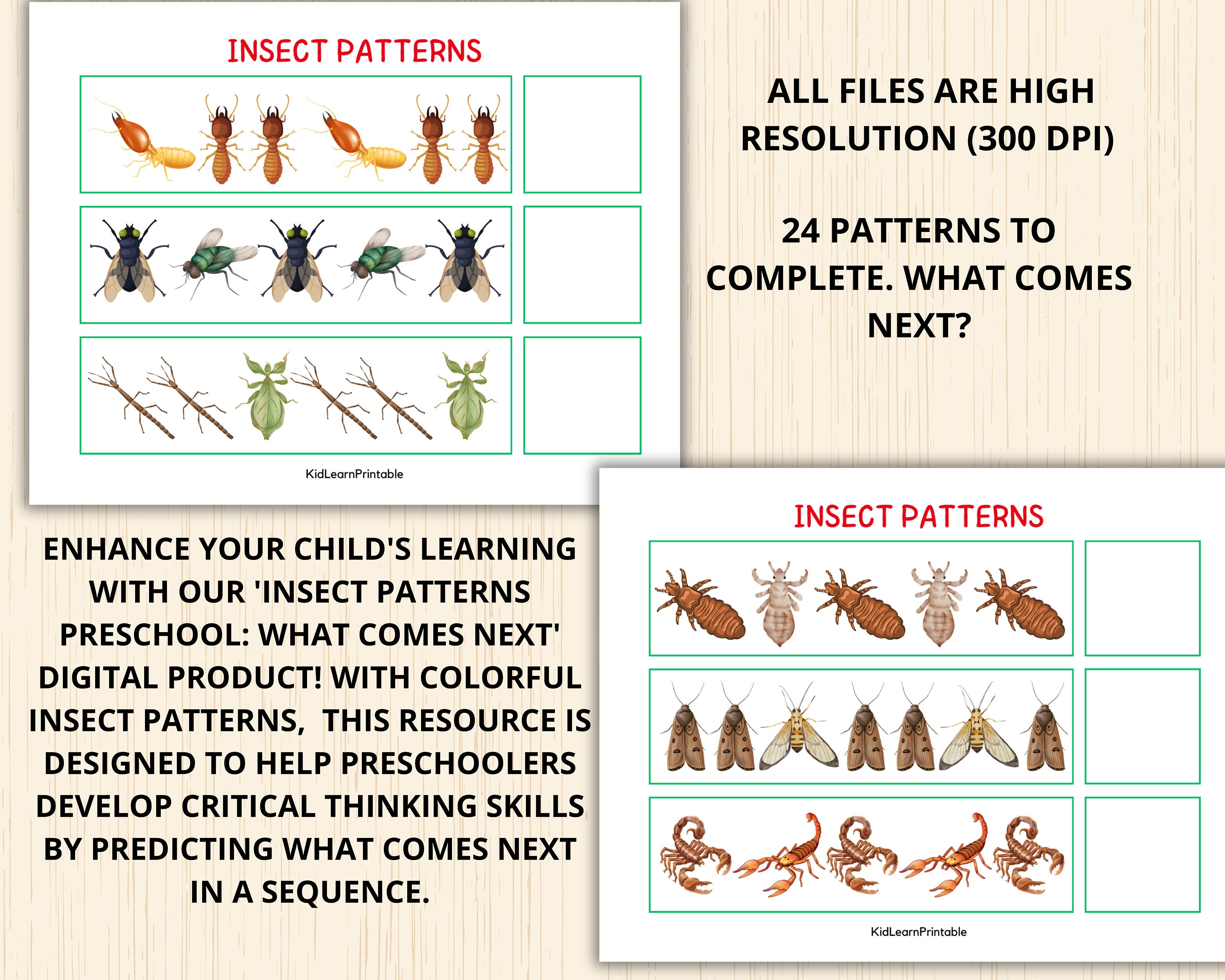 Insect Patterns,insect Activity,cut and Paste Patterns,preschool ...