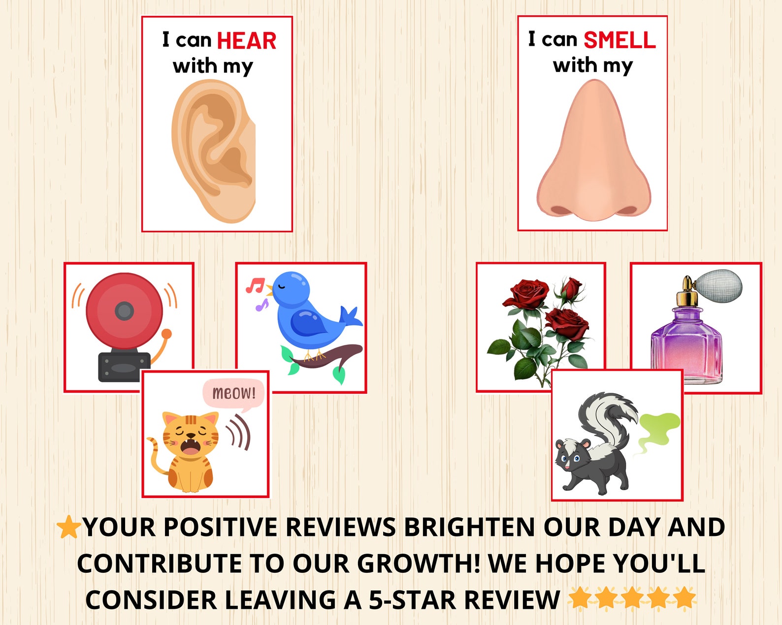 Five Senses Sorting Activity, 5 Sense Activities,5 Senses ...
