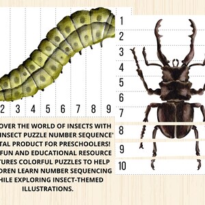 Insect Preschool,insect Number Puzzles,number Sequence,numbers 1-10 ...