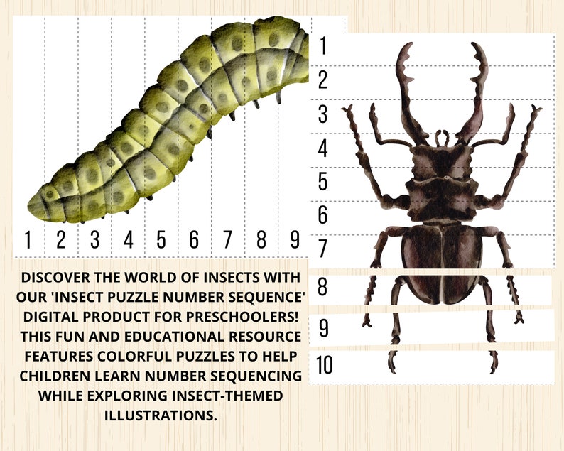 Insect Preschool,insect Number Puzzles,number Sequence,numbers 1-10 ...