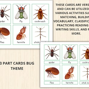 Insect Montessori Printable 3 Part Cards,bug Montessori 3 Part Cards ...