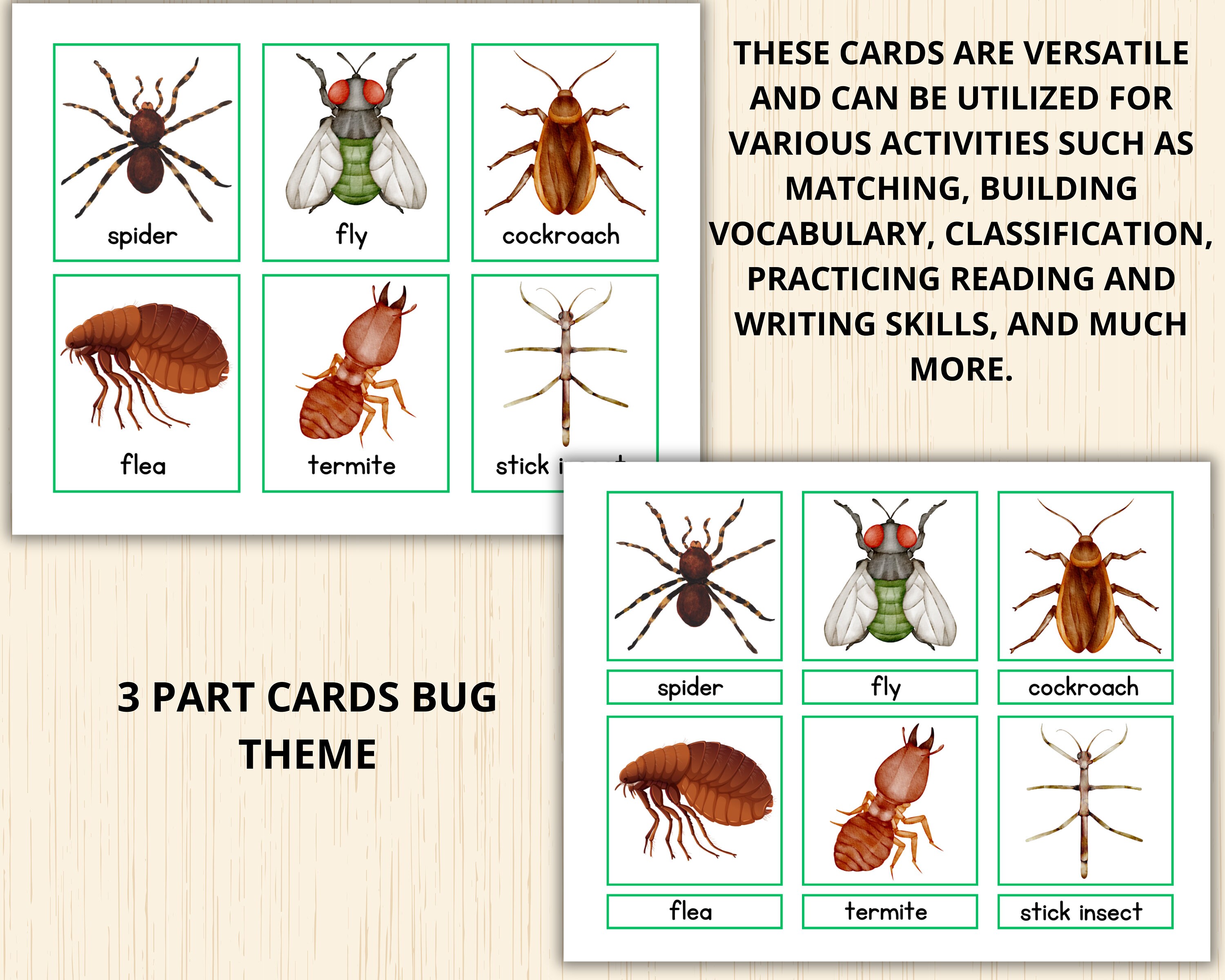 Insect Montessori Printable 3 Part Cards,bug Montessori 3 Part Cards ...