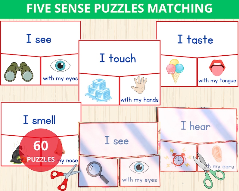 Five Senses Sorting Activity,five Senses Puzzle,5 Sense Activities,5 ...