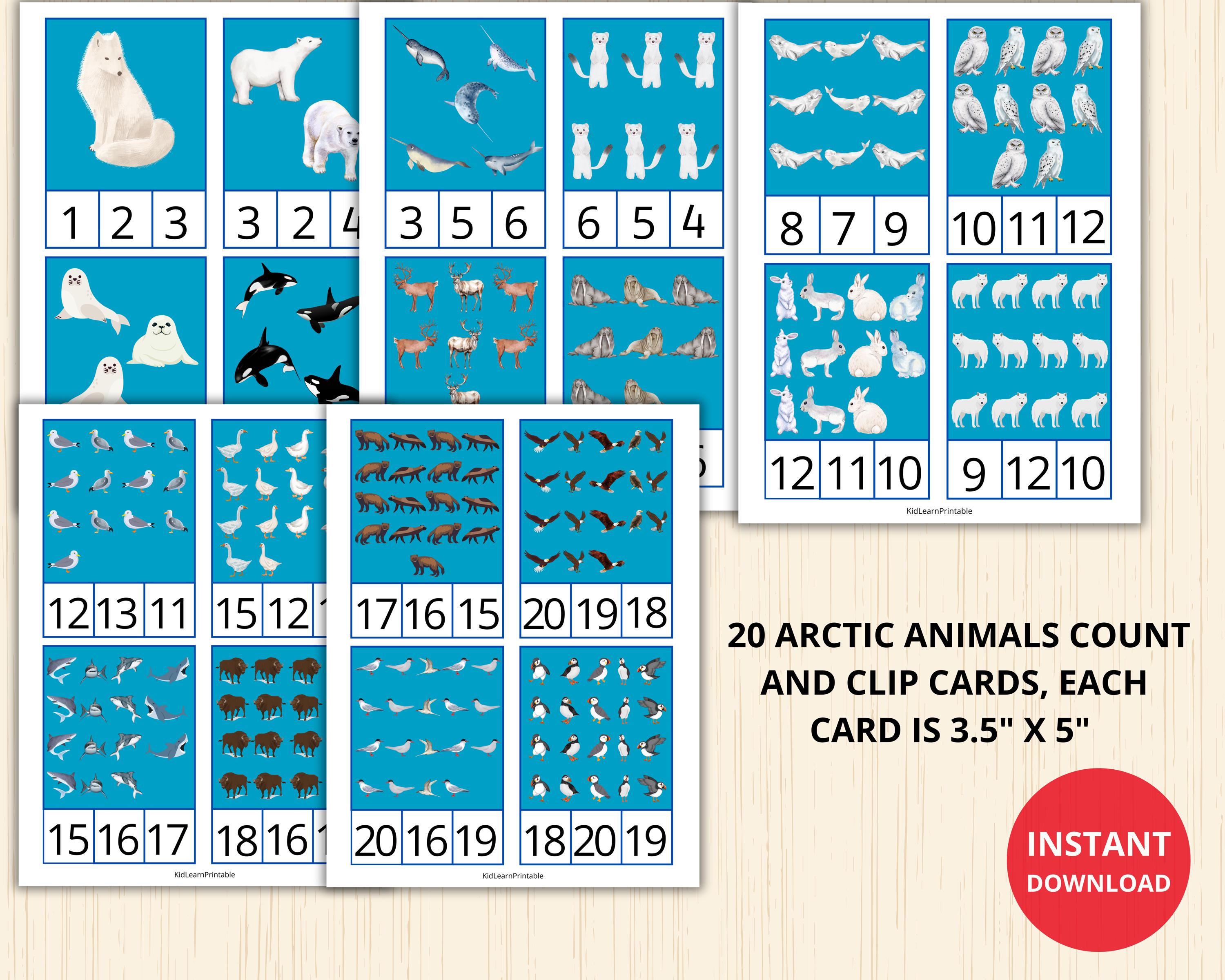 Arctic Animals Bundle,polar Animals Preschool Activity,arctic Animal ...