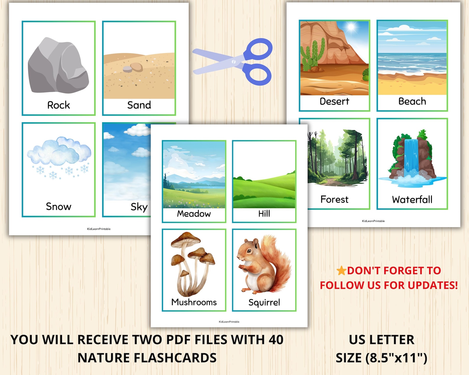 Nature Flashcards,nature Vocabulary,spring Flashcard,nature ...