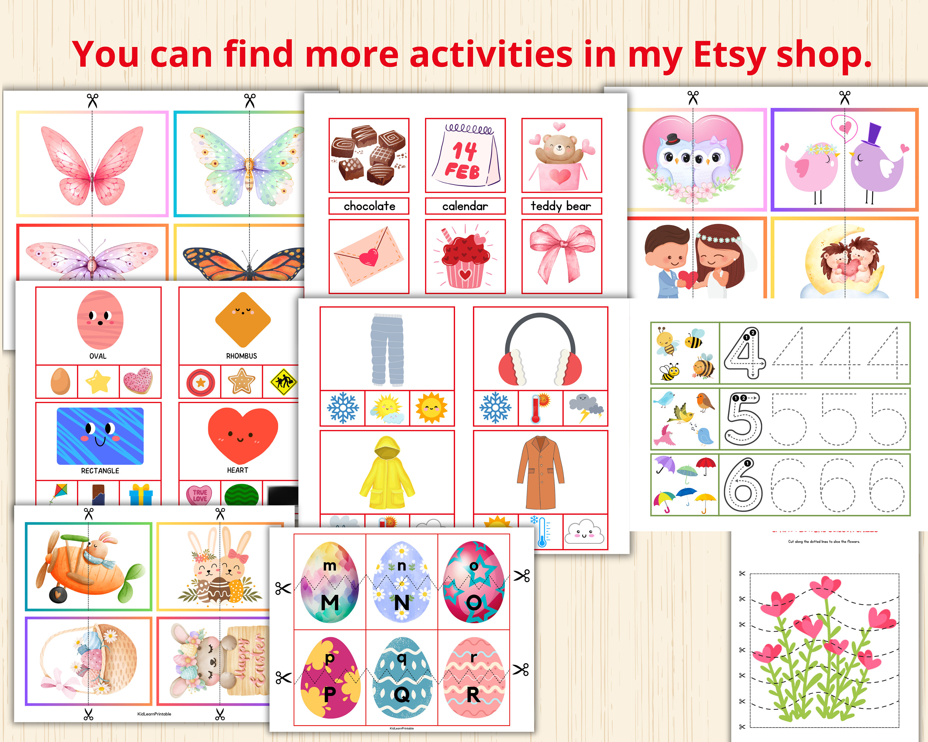 Birds Flashcards, Birds Alphabet Cards, Alphabet Flash Cards, Birds ...