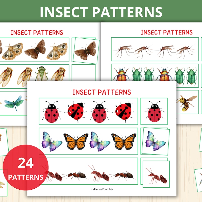 Sensory Bins Insect - Etsy