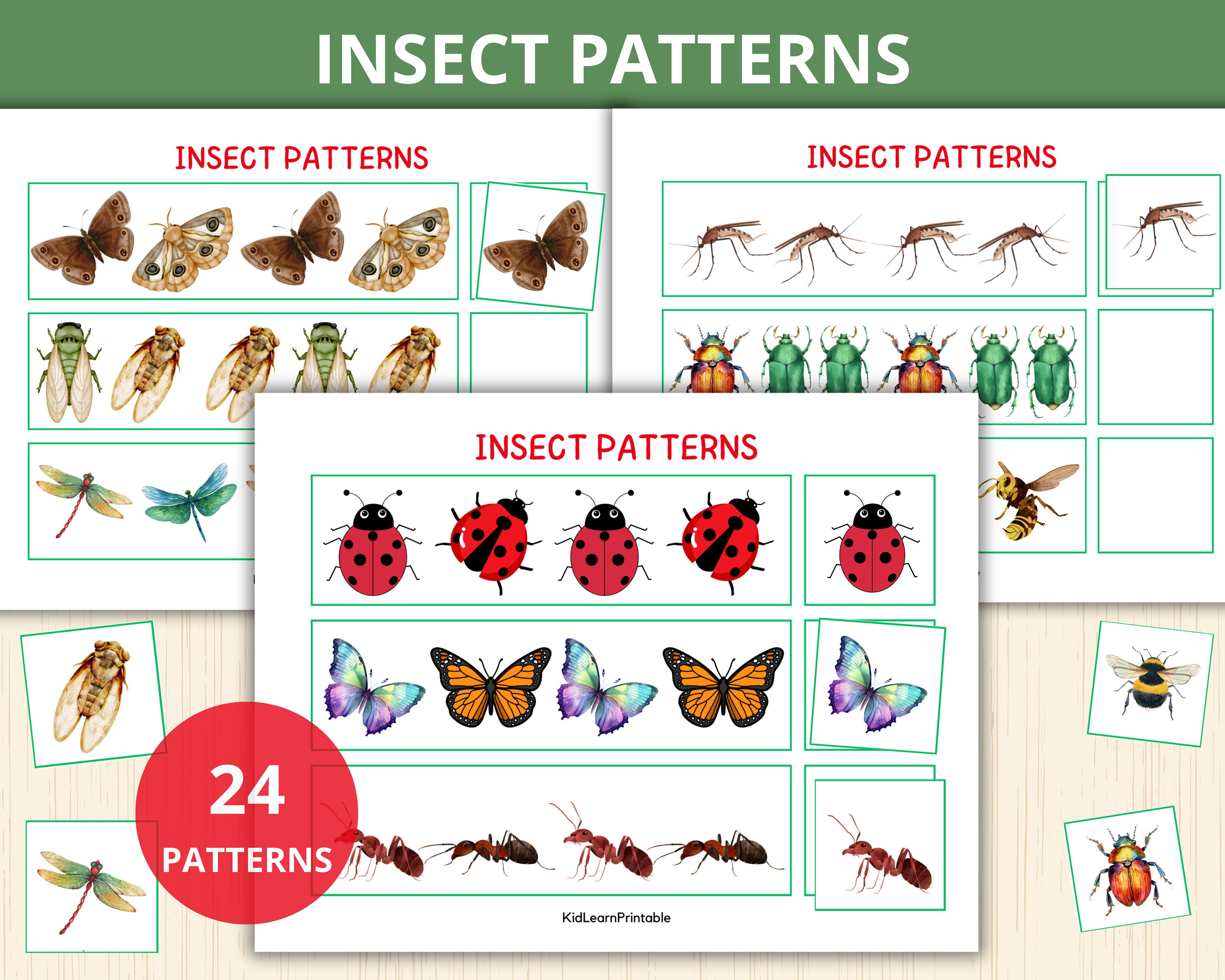 Insect Patterns,insect Activity,cut and Paste Patterns,preschool ...