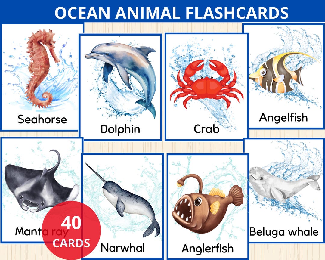 Ocean Animal Flashcard,sea Animal Flashcard,ocean Animal Preschool ...