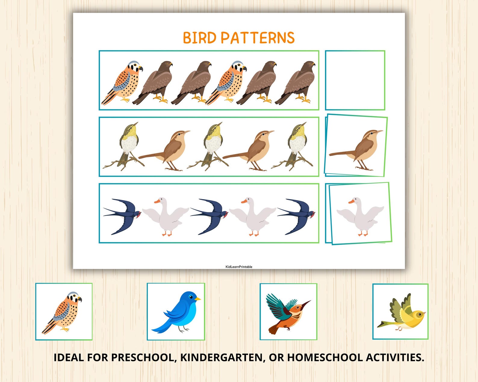 Bird Patterns,backyard Birds Activity,birds What Comes Next,pattern ...