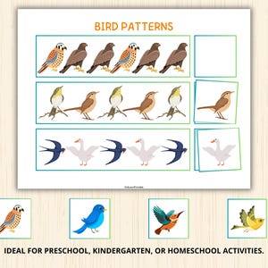 Bird Patterns,backyard Birds Activity,birds What Comes Next,pattern ...