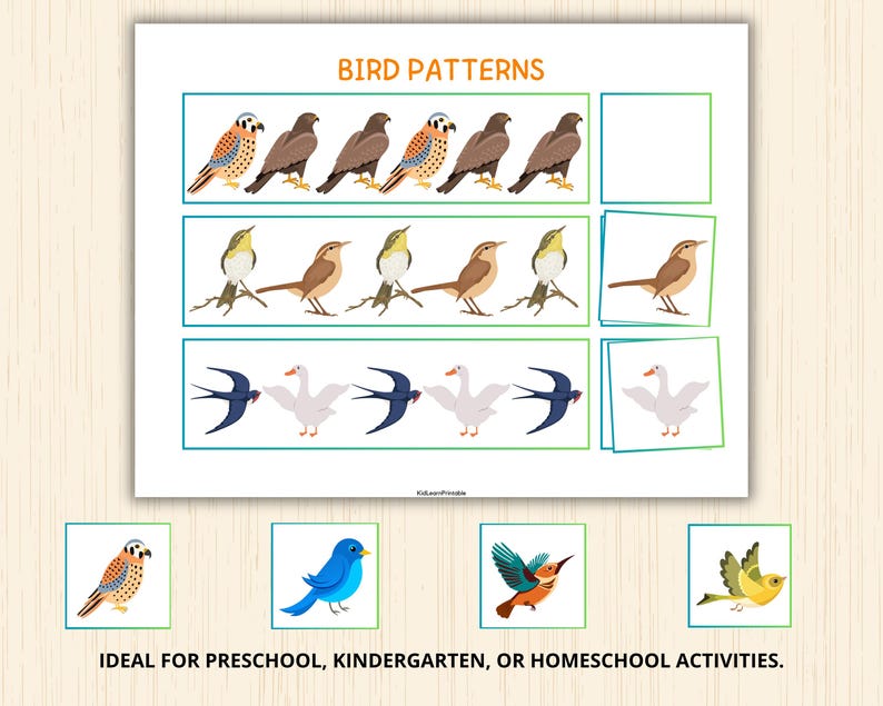 Bird Patterns,backyard Birds Activity,birds What Comes Next,pattern ...