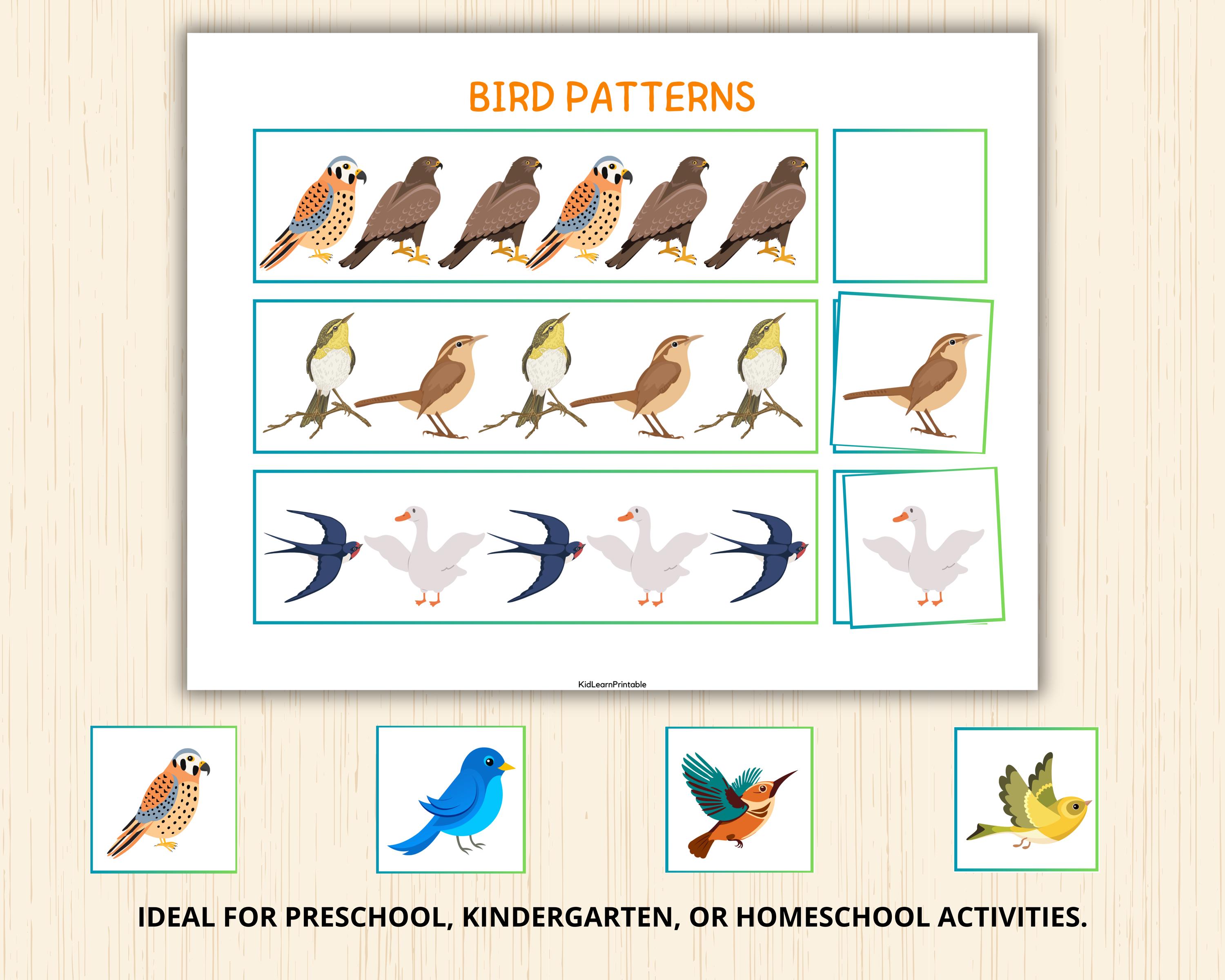 Bird Patterns,backyard Birds Activity,birds What Comes Next,pattern ...
